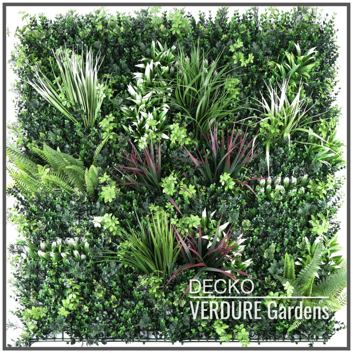 DECKO VERDURE Green Wall - AMAZONIA - 1000mm x 1000mm — DECKO New Zealand